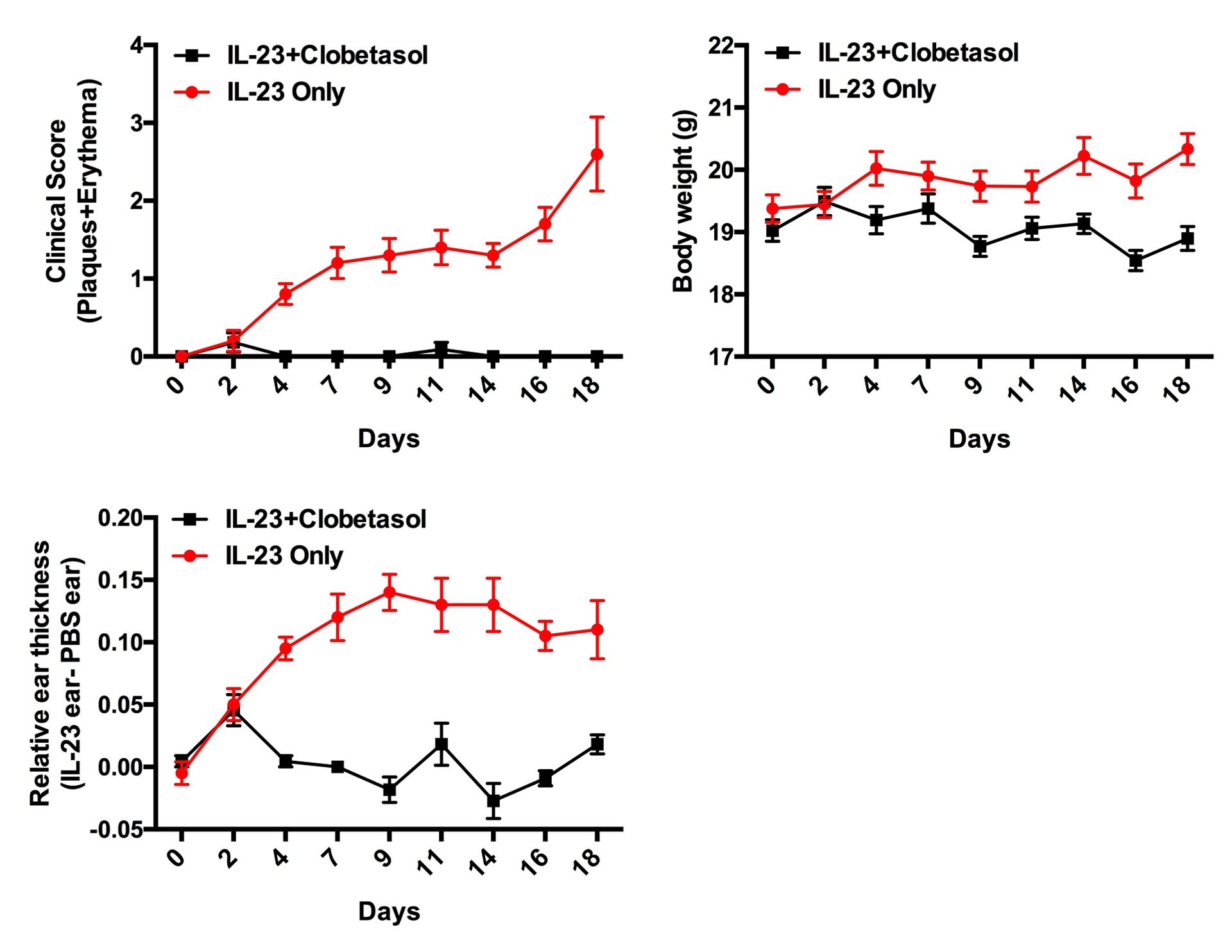 IL-23 induced Psoriasis-like Preclinical Model of Inflammation