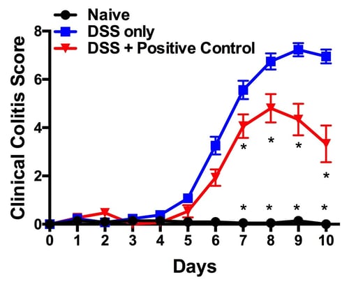 DSS-induced IBD Model | Inflammation